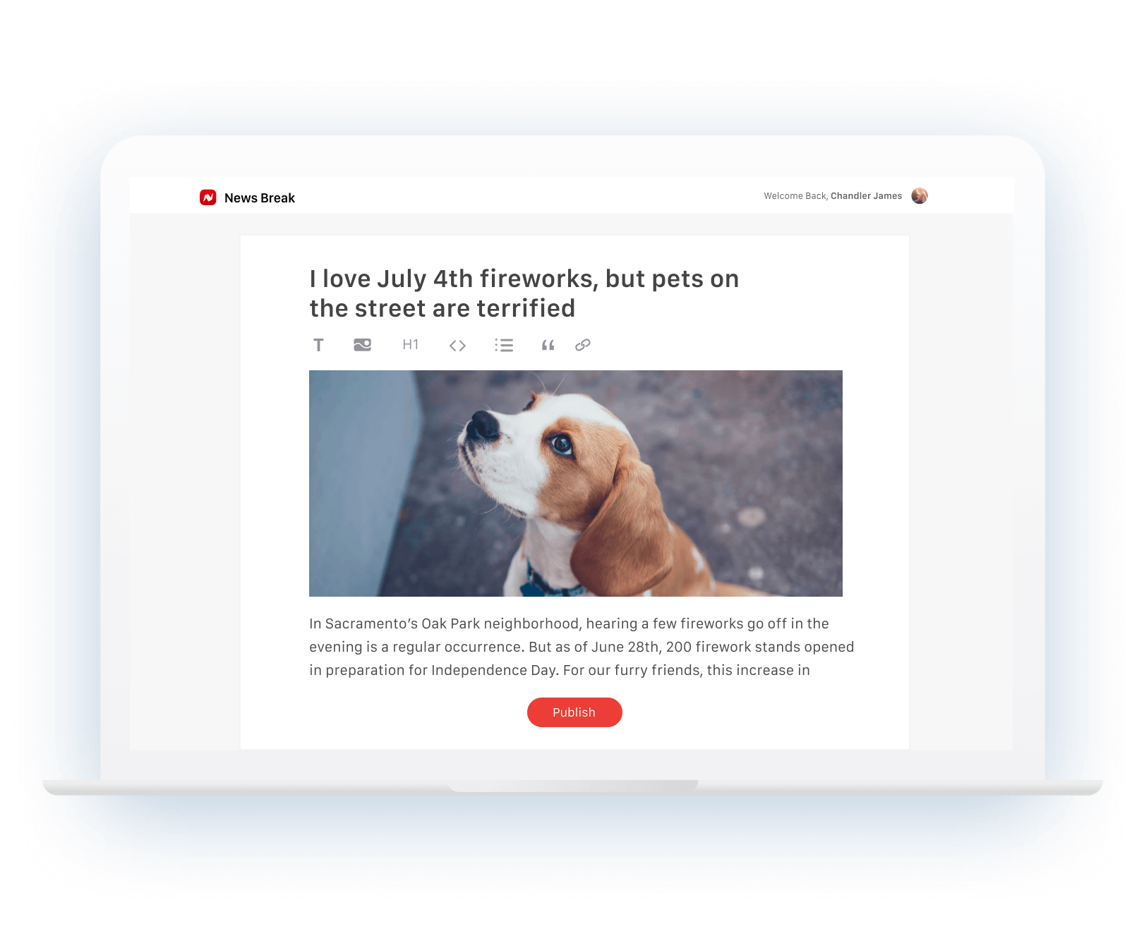 NewsBreak Contributor/Publisher Platform
